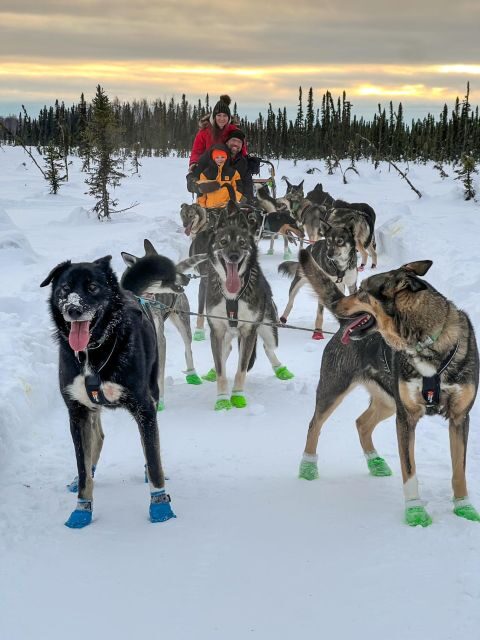 Winter Dog Sled Tour Day or Night Mush! - Breaking Down the Tour: What You Need to Know