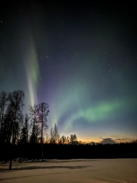 Winter Dog Sled Tour Day or Night Mush! - Authenticity and Overall Experience