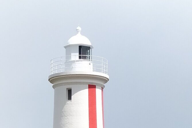 Winter Escape to Tassie - Day 3: Relaxed Return and Free Time