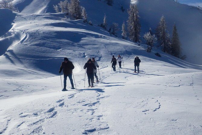 Winter Fairytale - Triglav National Park Half Day Trip - Key Points