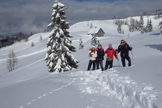 Winter Fairytale - Triglav National Park Half Day Trip - The Sum Up