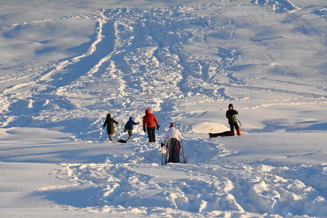 Winter Family Fun Day in Palmer Alaska - Practical Details and Logistics