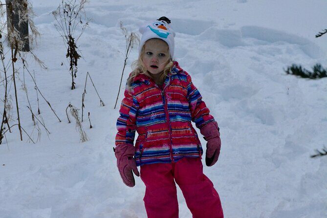 Winter Family Fun Day in Palmer Alaska - Who Should Consider This Tour?