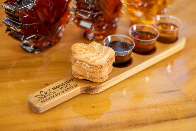 Winter Festival of Lights Tour from Niagara - Who Should Consider This Tour?