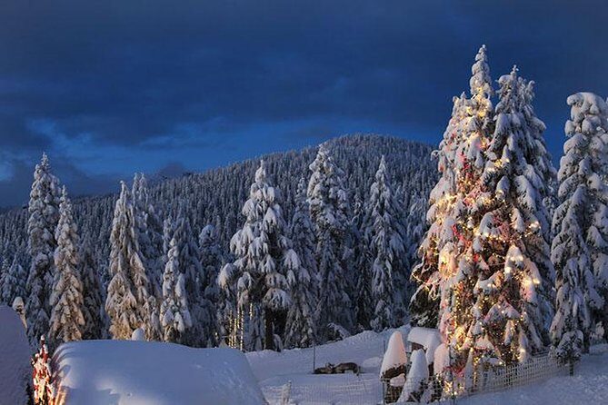 Winter Fun at North Shore Mountains- Grouse, Seymour & Cypress - The Experience: What It Feels Like for Travelers