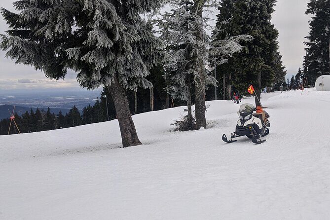 Winter Fun at North Shore Mountains- Grouse, Seymour & Cypress - Who Would Love This Tour?