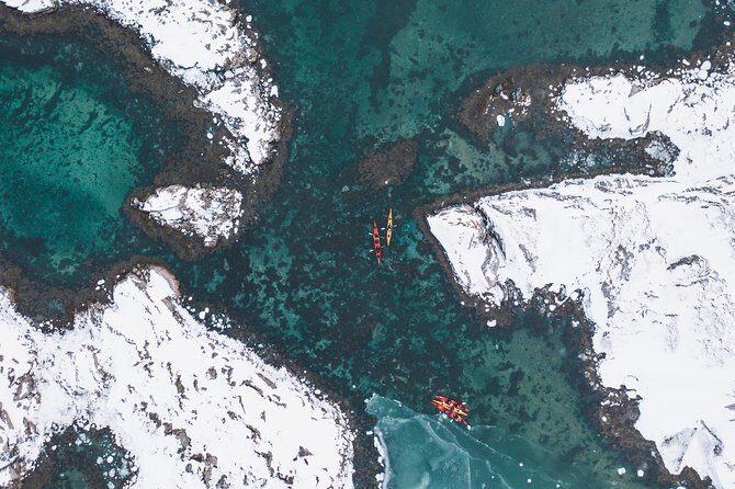 Winter Half Day Kayak Tour - Why We Think This Tour Shines