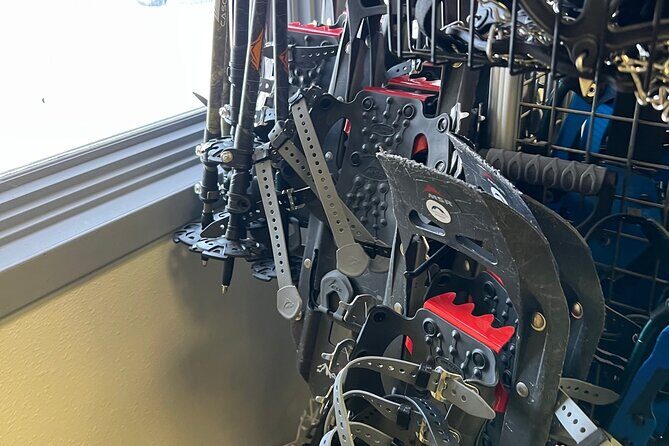 Winter Hiking Set for Snowshoes and Trek Poles - What to Expect on Your Snowshoeing Adventure