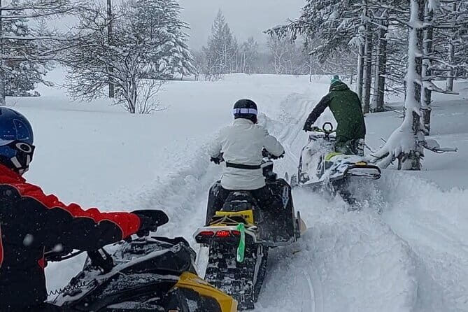 Winter Holiday Snowmobiling in Nozawa Onsen Area - The Value of This Snowmobiling Tour