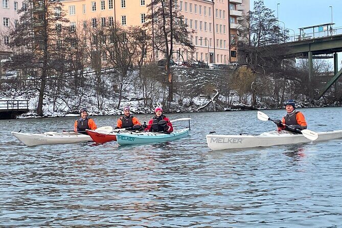 Winter Kayak Tour in Stockholm City (Dry Suit Kayaking) - Why This Tour Stands Out