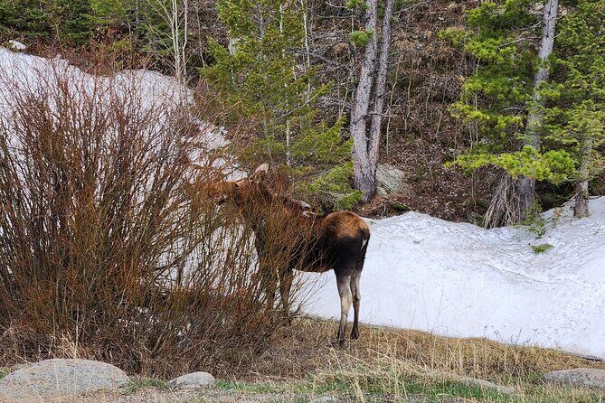 Winter on the Rocks with S'mores (Wildside 4x4 Tours) - What the Tour Offers: A Closer Look