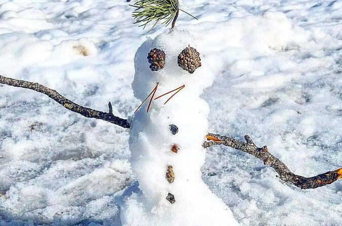 Winter on the Rocks with S'mores (Wildside 4x4 Tours) - The Experience: What You Can Expect