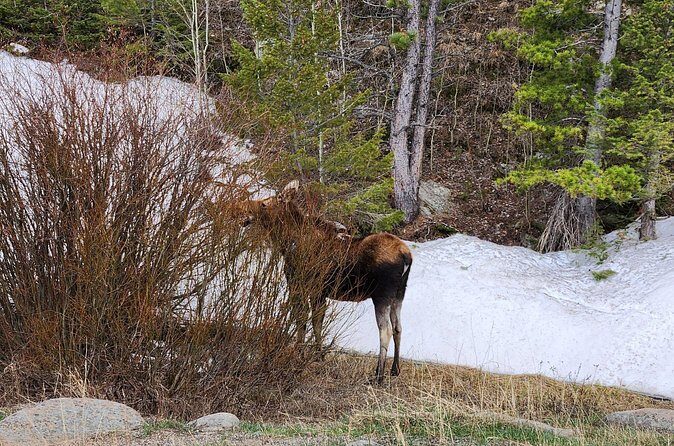 Winter on the Rocks with S'mores (Wildside 4x4 Tours) - The Sum Up