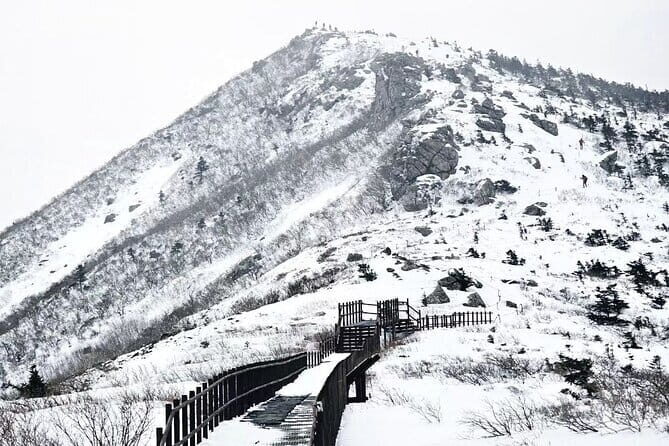 Winter One Day Tour to Snowy Mt. Seorak and Maebawi Ice Wall - An In-Depth Look at the Tour Experience