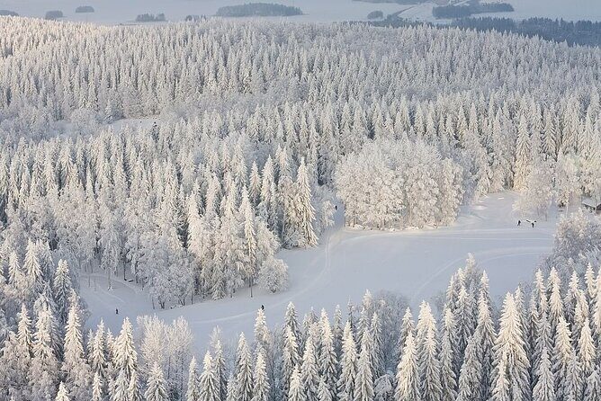 Winter Quad Bike Ride in the Arctic Circle from Rovaniemi - Group Size and Logistics