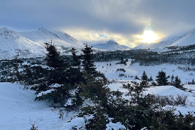 Winter Snowshoeing Adventure - A Closer Look at the Experience