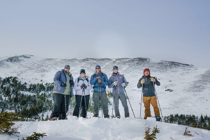 Winter Snowshoeing Adventure - Who Would Enjoy This Tour?