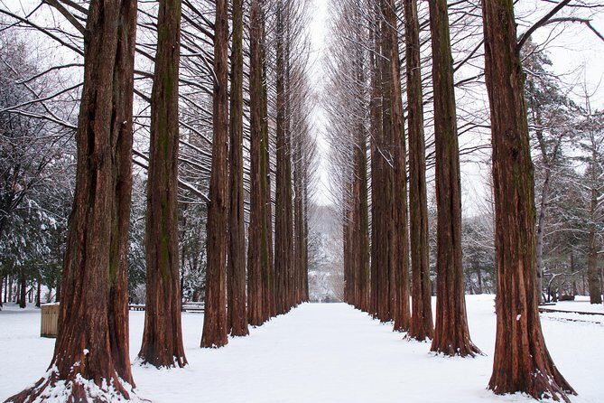 Winter Sonata TV Tour on Nami Island from Seoul - The Journey Begins: From Seoul to Nami Island