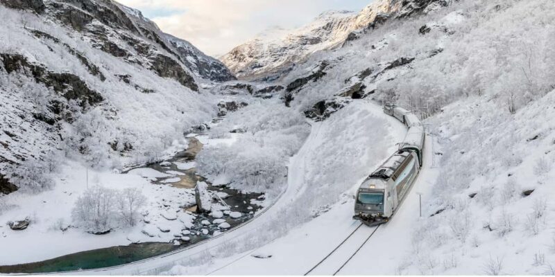 Winter Tour Viking Village, Nærøyfjord Cruise & Flåm Railway - Authentic Experiences and Practical Insights
