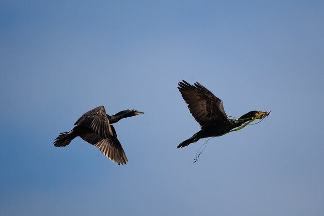 Winter Victoria Whale and Wildlife Covered Vessel Tour - FAQ