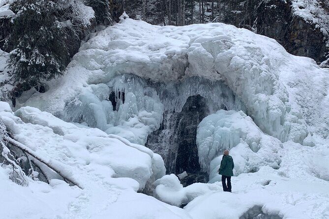 Winter Waterfall Walk - Authentic Feedback from Travelers
