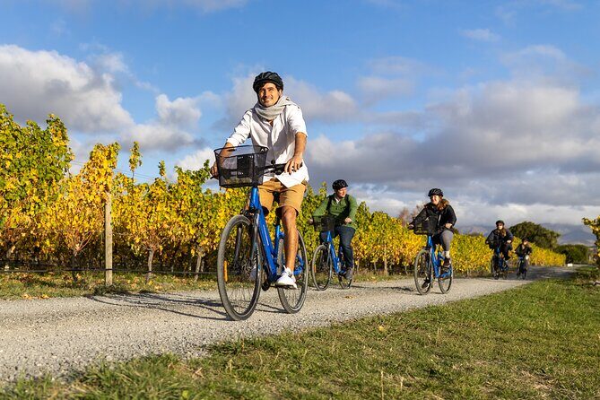 Winter Wine Wander Self guided Biking and Wine Trail Experience - Exploring the Marlborough Experience