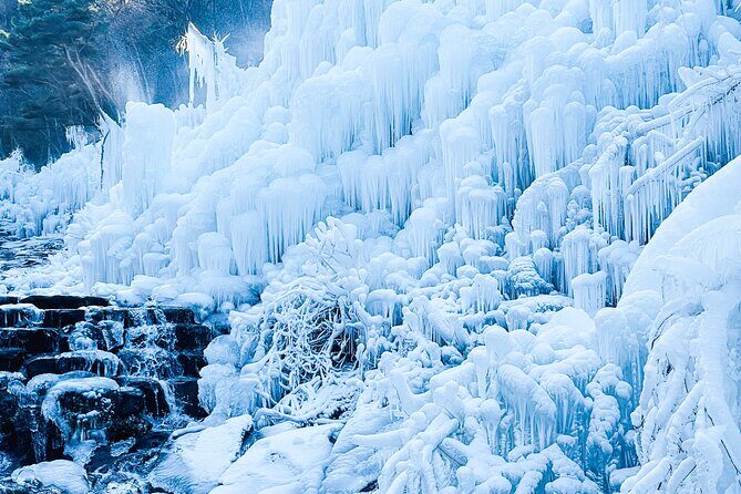 Winter Wonderland Healing Park and Gyeongju/Daegu Tour from Busan - Final thoughts on value and suitability