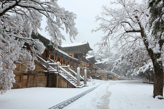 Winter Wonderland Healing Park and Gyeongju/Daegu Tour from Busan - Frequently Asked Questions