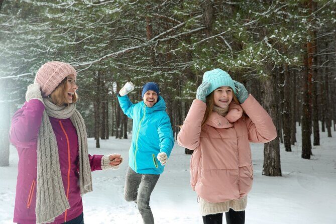 Winter Wonderland Walk: Buffalos Festive Highlights - Exploring Buffalo’s Holiday Charm on a Two-Hour Walk