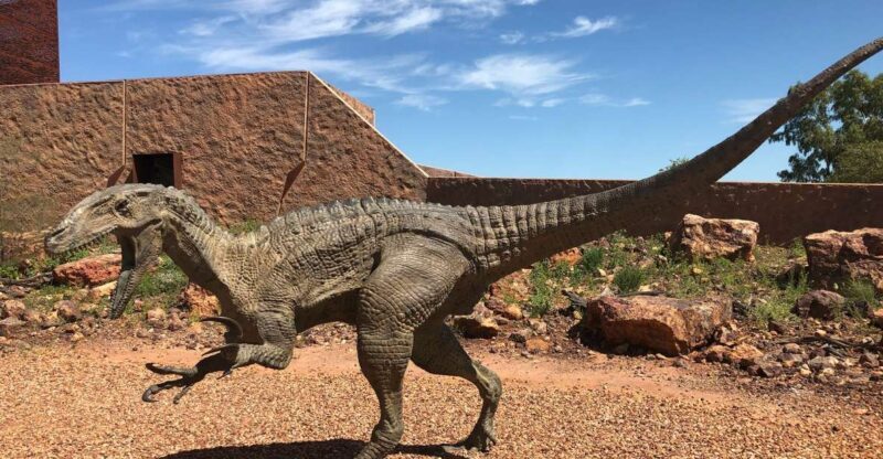 Winton: Age of Dinosaurs Museum Half-Day Tour - Key Points