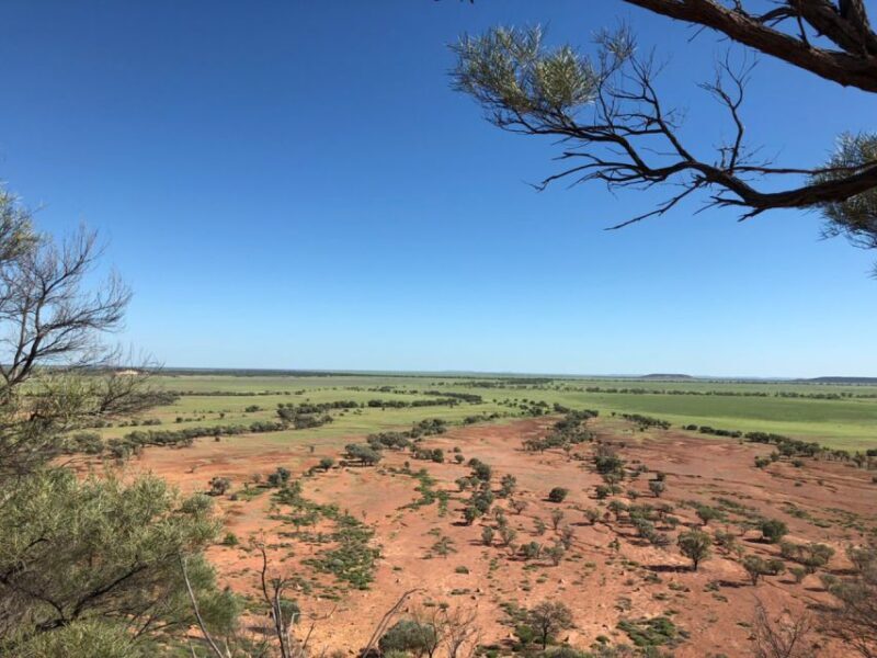 Winton: Bladensburg National Park Half Day Tour - An Authentic Outback Experience in Winton