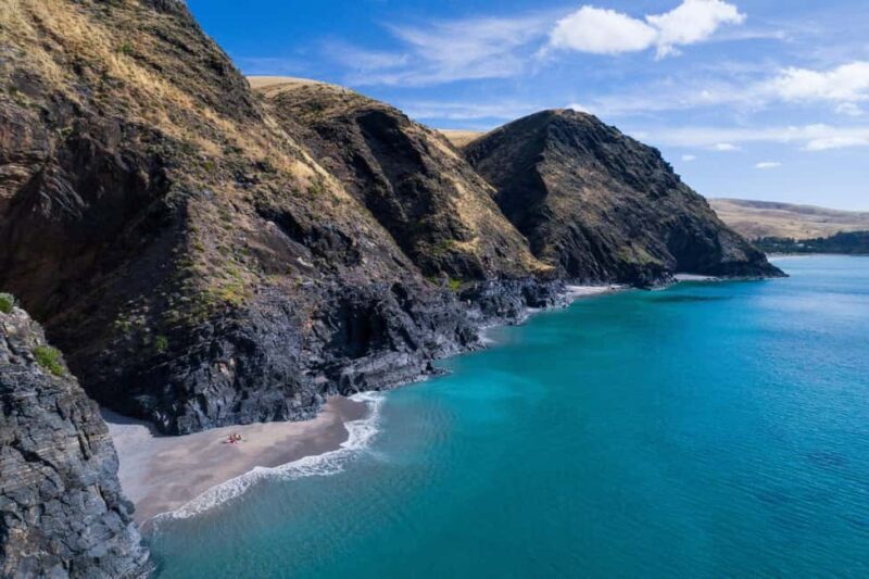 Wirrina Cove: Coastal Sightseeing Boat Tour with Seal Colony - An Introduction to the Experience