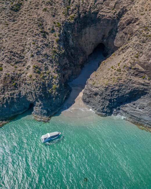 Wirrina Cove: Coastal Sightseeing Boat Tour with Seal Colony - The Value and Practicalities