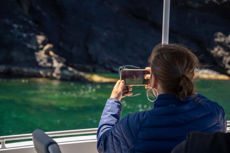 Wirrina Cove: Coastal Sightseeing Boat Tour with Seal Colony - Who Should Consider This Tour?