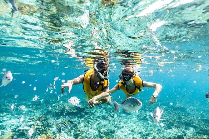 With Turtles, Shipwreck, Cenote, and Reef and Transport Included - Discovering Cancun’s Underwater Beauty: A Deep Dive Into the Experience