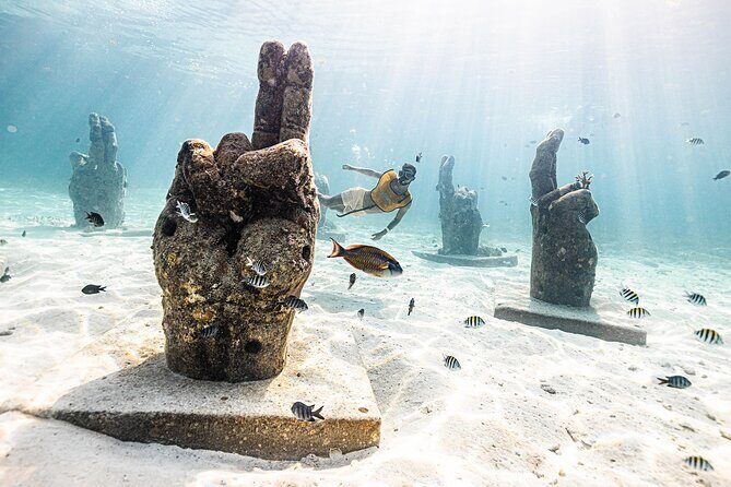 With Turtles, Shipwreck, Cenote, and Reef and Transport Included - FAQs about the Cancun Snorkeling Tour