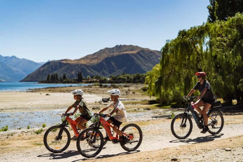 Wnaka: Gladstone Track and Wanaka Trails on Bike or eBike - An In-Depth Look at the Wanaka Bike Experience
