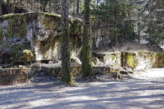Wolf's Lair & Treblinka Tour in 1 day from Warsaw - Introduction: Why Consider This Tour?