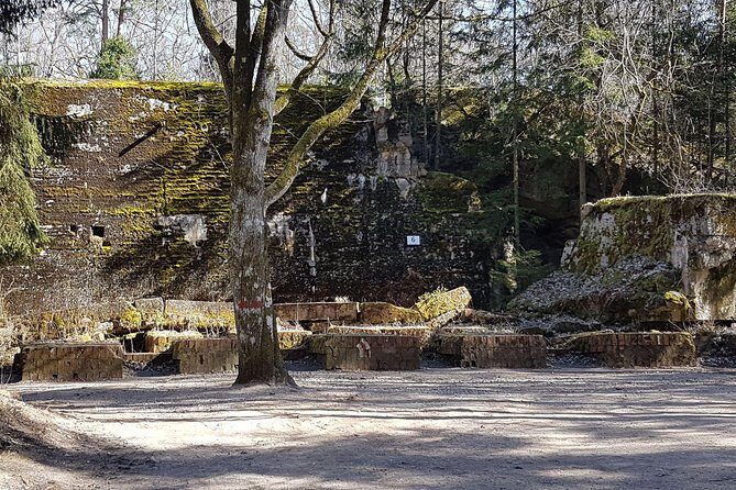 Wolf's Lair & Treblinka Tour in 1 day from Warsaw - What Travelers Say: Authentic Feedback