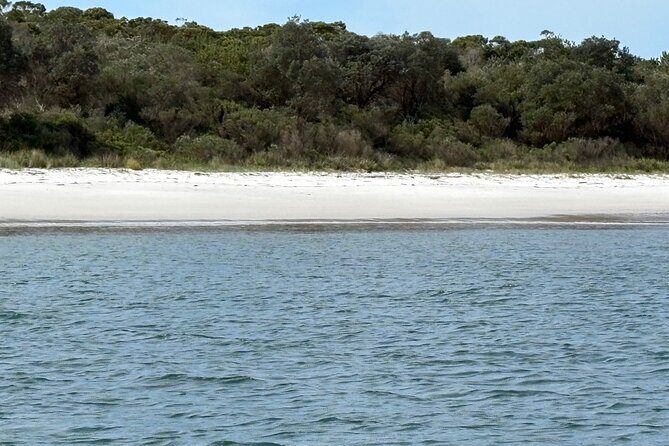 Wollongong and Kiama South Coast NSW Tours - How Does This Tour Compare in Value?