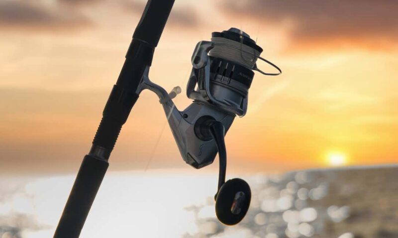 Wollongong Deep Sea Fishing Charter with Breakfast - Weekday - The Sum Up: Who Should Book This?