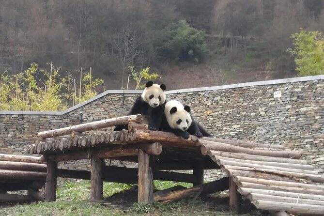 Wolong Panda Base Private Day Tour Optional Volunteering - The Sum Up