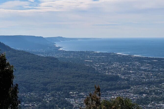 Wombat and Kangaroo Wildlife Tour from Sydney - Discover the Wombat and Kangaroo Wildlife Tour from Sydney