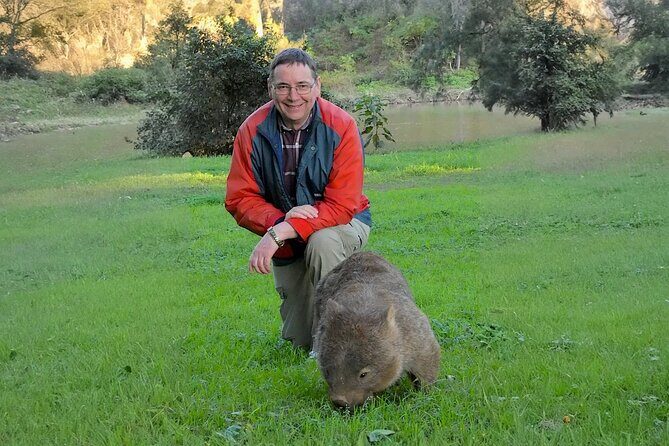 Wombat and Kangaroo Wildlife Tour from Sydney - Key Points