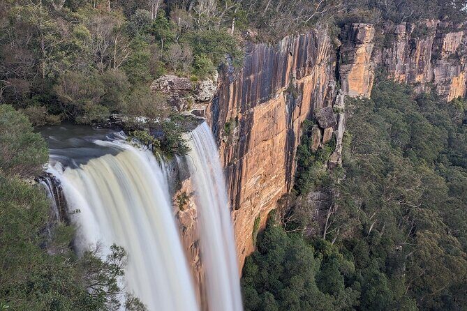 Wombat and Kangaroo Wildlife Tour from Sydney - Final Thoughts