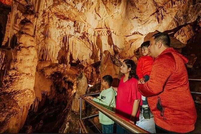 Wombeyan Caves: Fig Tree Cave Tour - Introduction