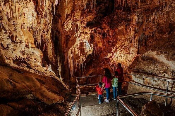Wombeyan Caves: Fig Tree Cave Tour - Key Points