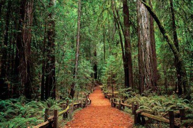 Women Only 5 day California Vineyards, Waves and Wine Tour - Key Points