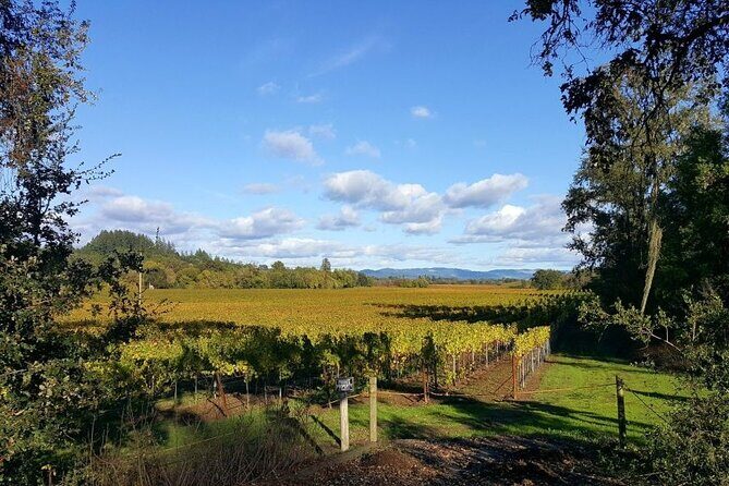 Women Only 5 day California Vineyards, Waves and Wine Tour - Authentic Experiences and Traveler Feedback