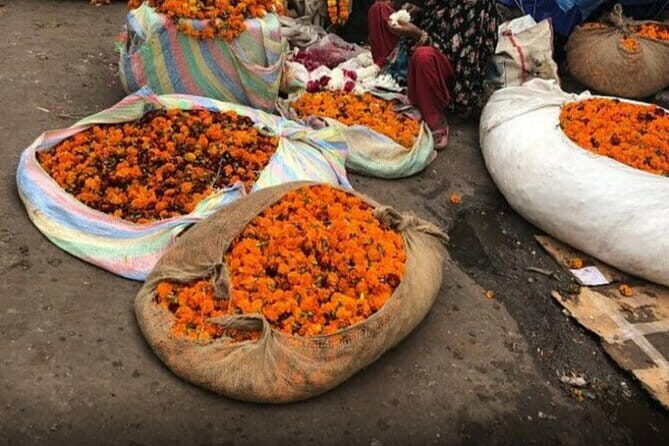 Women only Full Day Tour of Jaipur - An In-Depth Look at the Jaipur Women’s Full-Day Tour